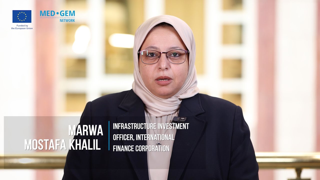 How IFC is Paving the Way for Green Hydrogen Investments in Egypt ...